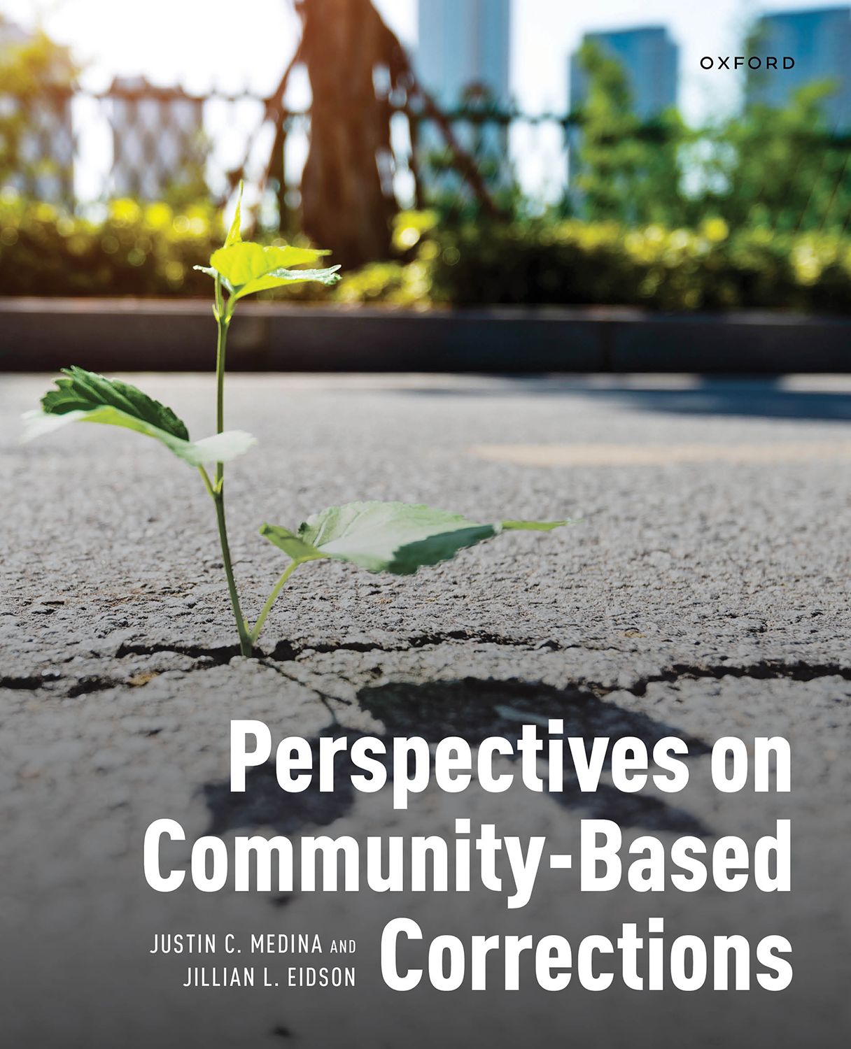 Perspectives on Community-Based Corrections, First Edition Student ...